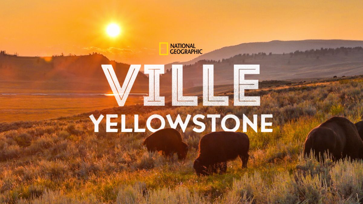Se hele episoder av Ville Yellowstone | Disney+
