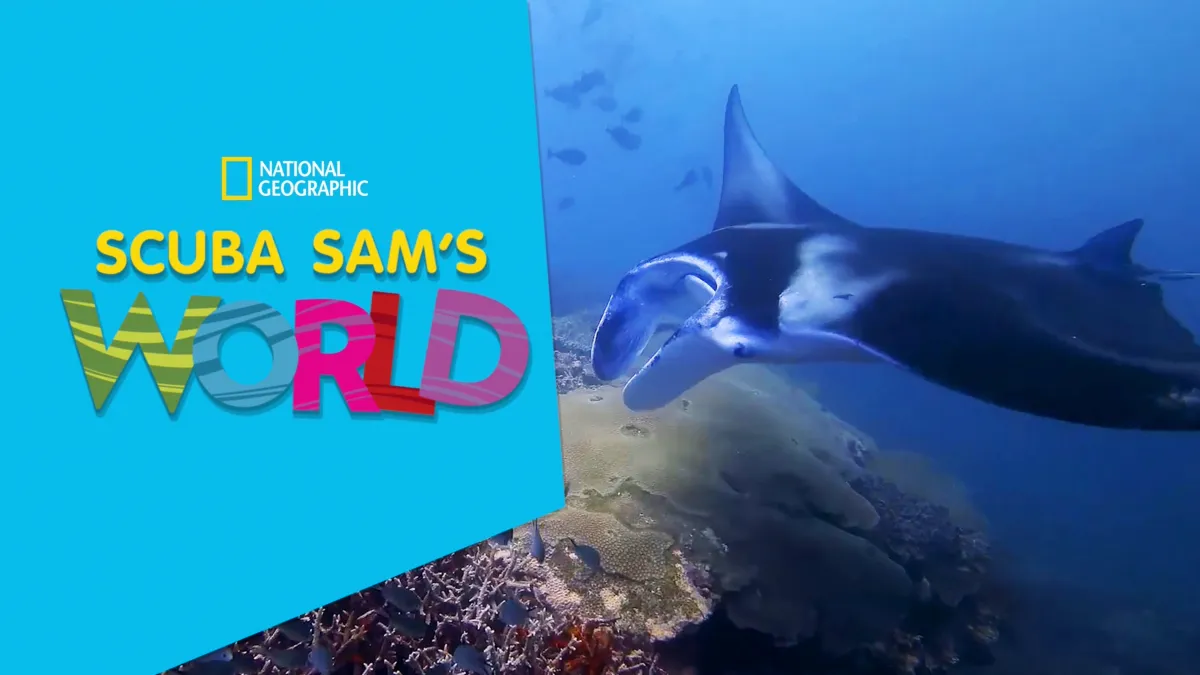 Regarder Scuba Sam's World | Épisodes complets | Disney+