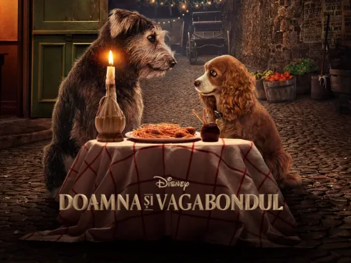 Vizionează Doamna Și Vagabondul | Disney+