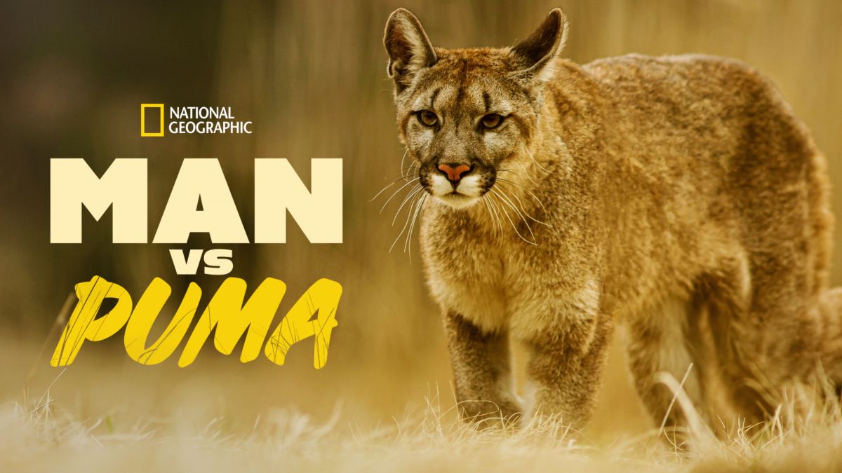 Man VS. Puma | Disney+