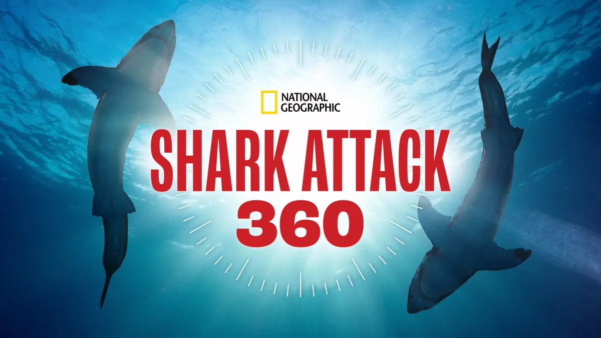 Guarda episodi completi di Shark Attack 360 | Disney+