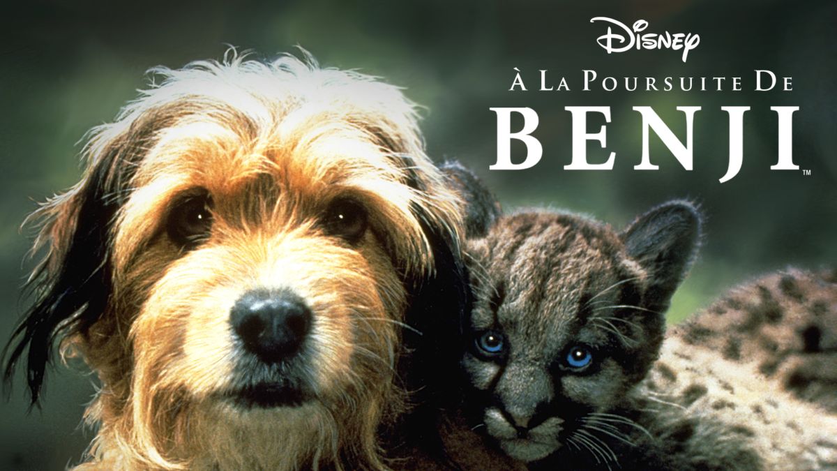À la poursuite de Benji | Disney+