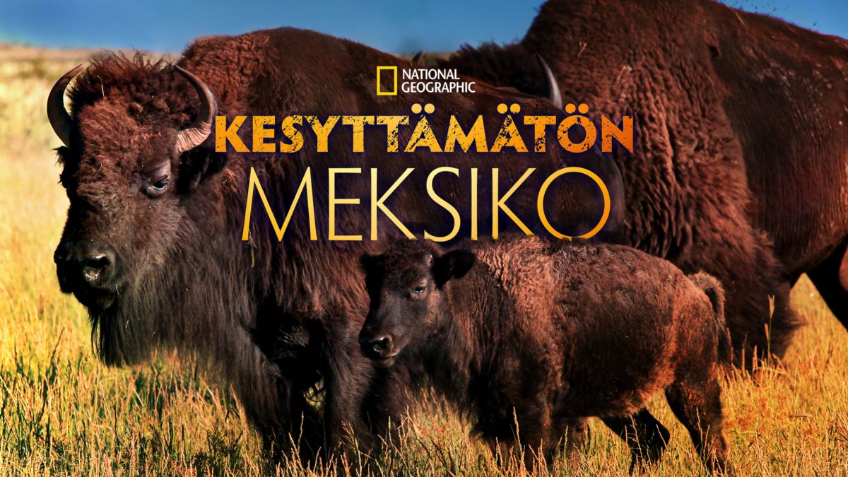 Katso Kesyttämätön Meksiko Koko jaksot | Disney+