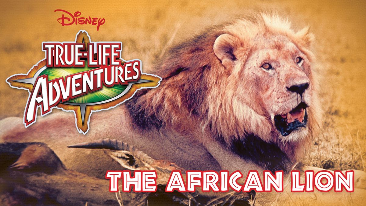 Pozerajte African Lion, The | Celý film | Disney+