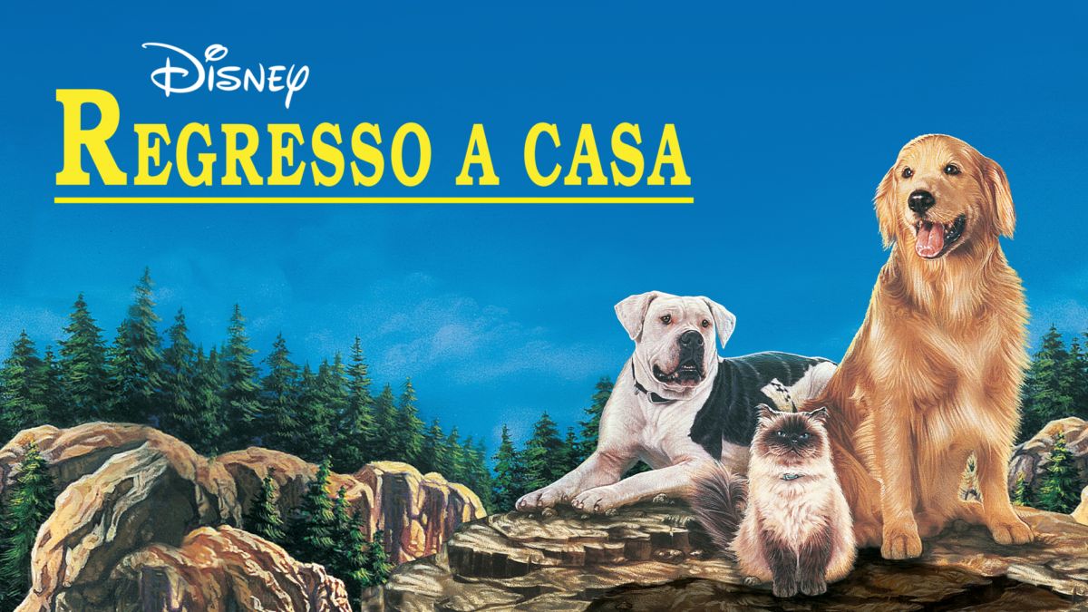 Ver Regresso a Casa | Filme completo | Disney+