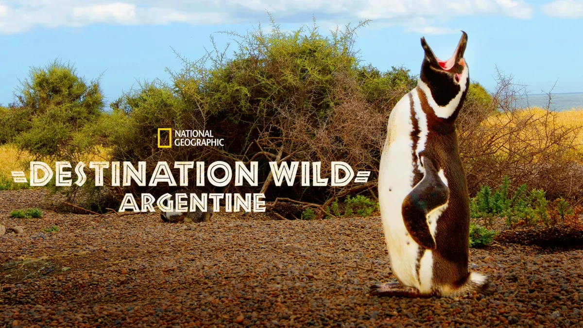 Regarder Destination Wild: Argentine | Épisodes complets | Disney+
