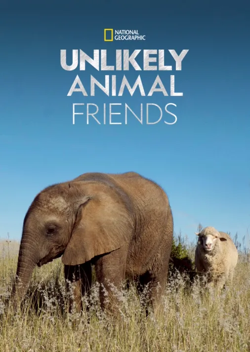Watch Unlikely Animal Friends | Disney+