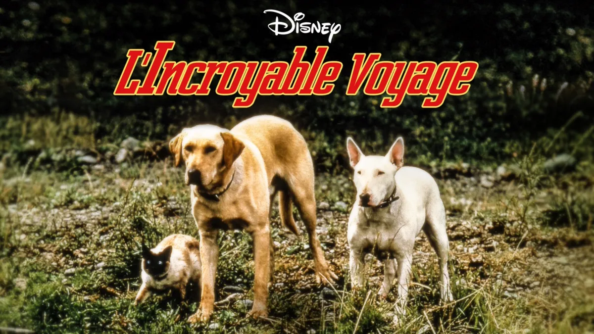 Regardez L’incroyable voyage | Disney+