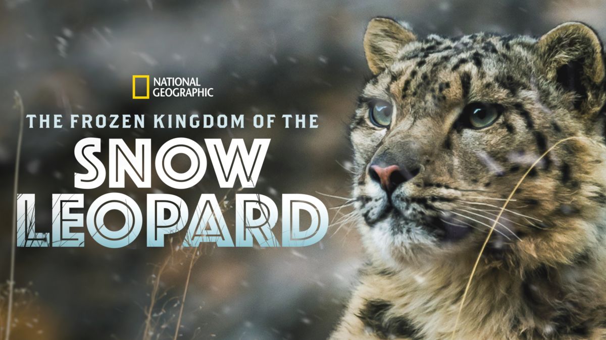 The Frozen Kingdom of the Snow Leopard | Disney+