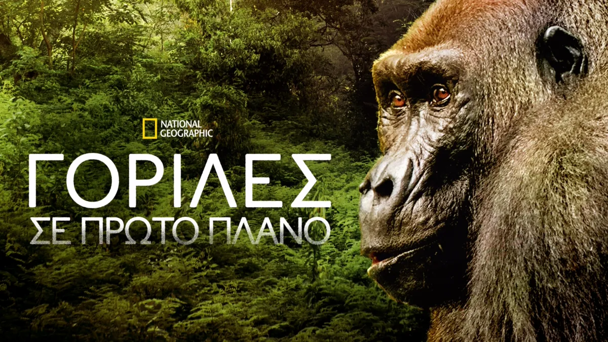 Δείτε το «Γορίλες σε Πρώτο Πλάνο» | Disney+