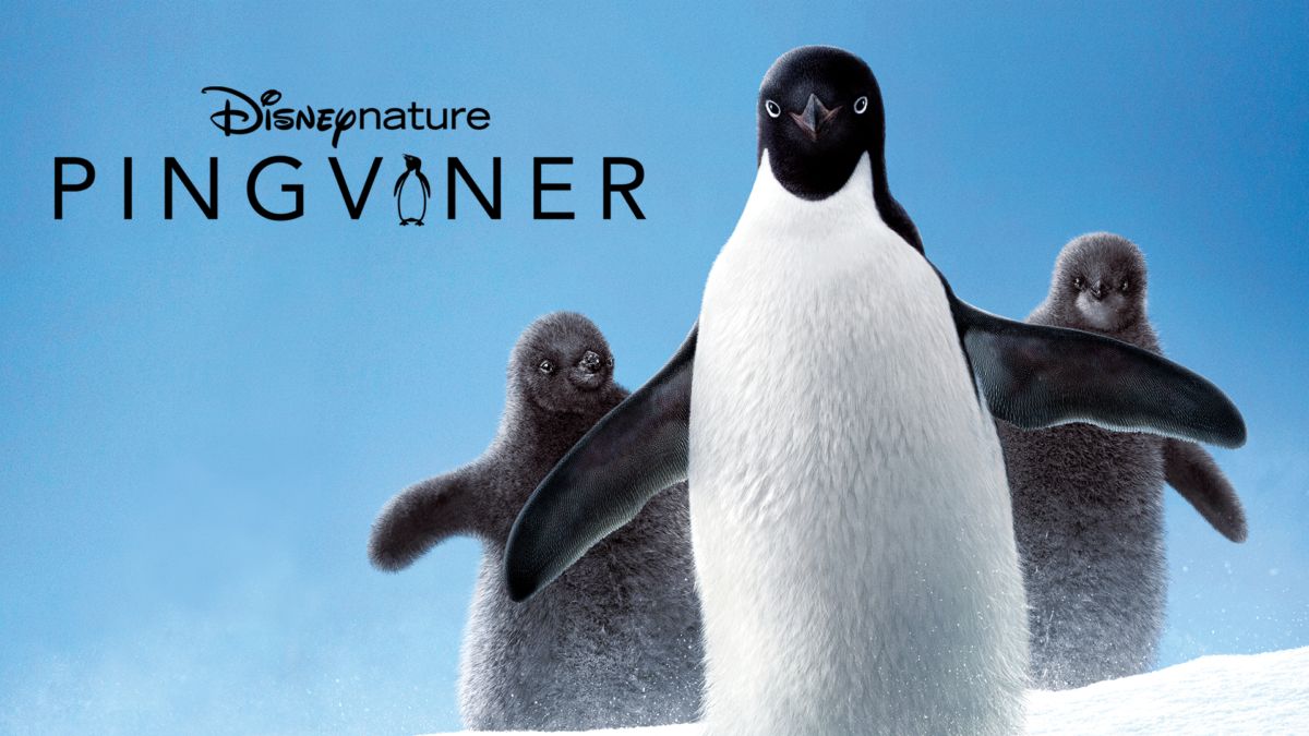 Se Disneynature Pingviner | Hel film | Disney