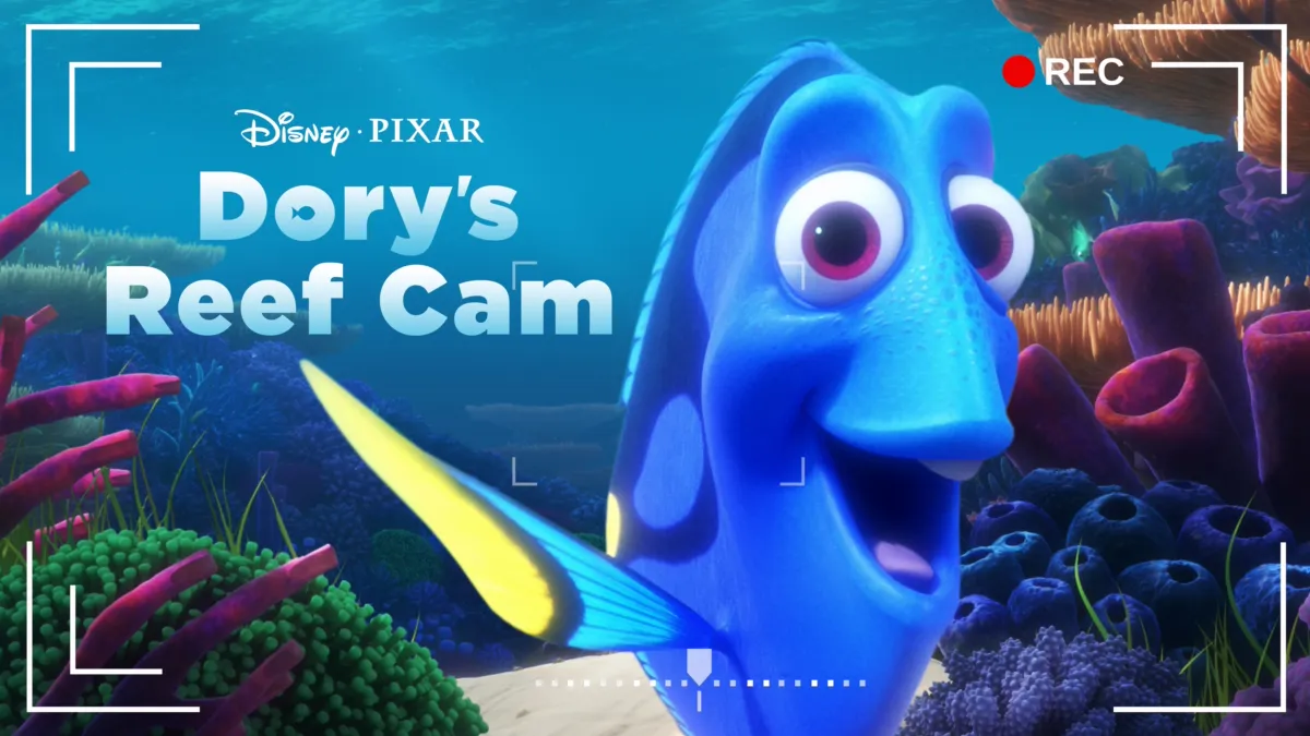 Watch Dory's Reef Cam | Disney+