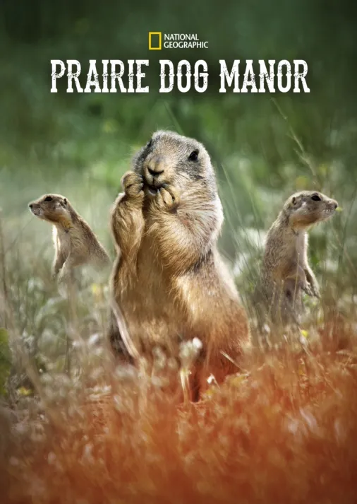 Watch Prairie Dog Manor | Full Episodes | Disney+