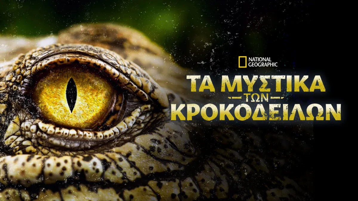 Δείτε το «Τα Μυστικά των Κροκόδειλων» | Disney+