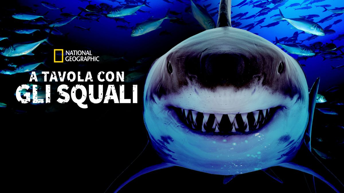 Guarda A tavola con gli squali | Film completo| Disney+ Guarda A tavola con gli squali | Film completo| Disney+