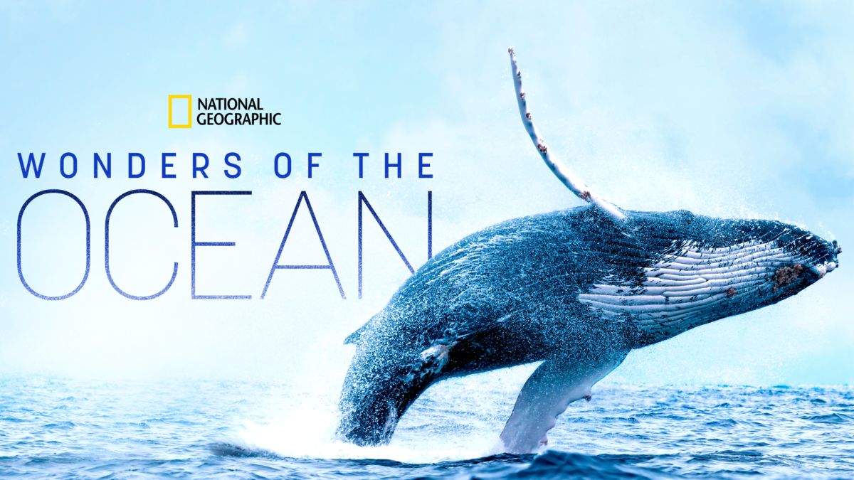 Kijk de volledige afleveringen van Wonders of the Ocean | Disney+