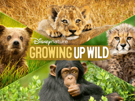 Films Disney+ Growing Up Wild