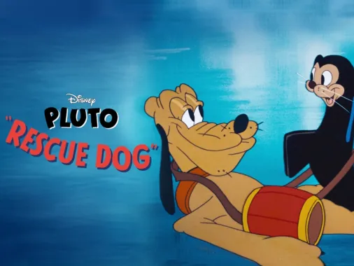 Watch Rescue Dog | Disney+