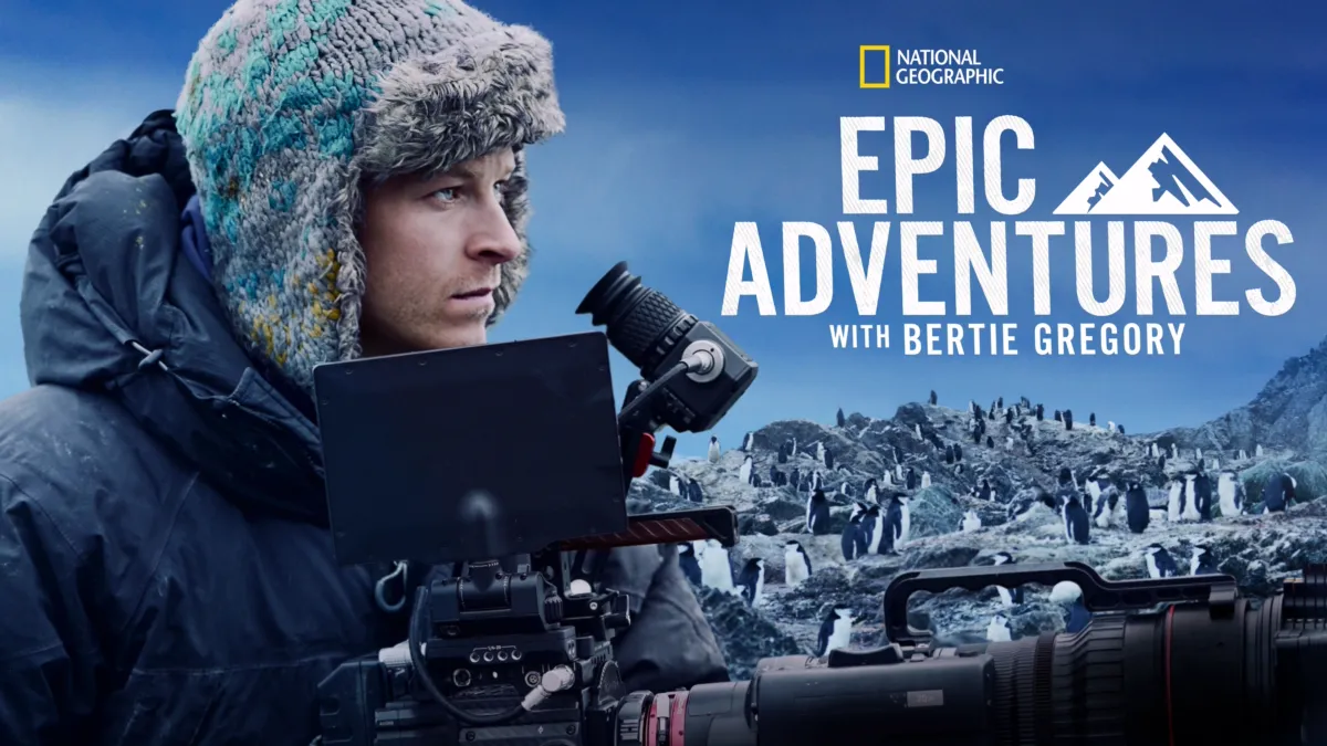 Watch Epic Adventures with Bertie Gregory | Disney+
