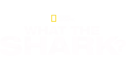 Watch What the Shark? | Disney+