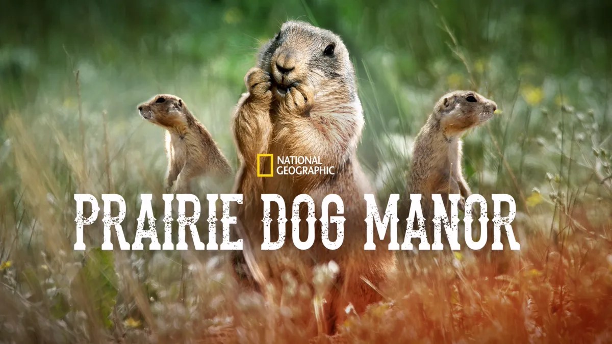 Watch Prairie Dog Manor | Full episodes | Disney+