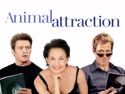 Watch Animal Attraction | Disney+