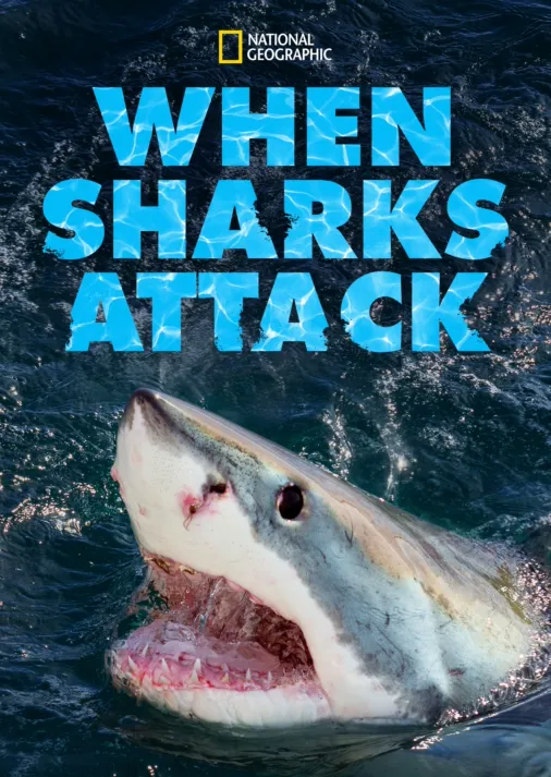 Watch When Sharks Attack | Disney+