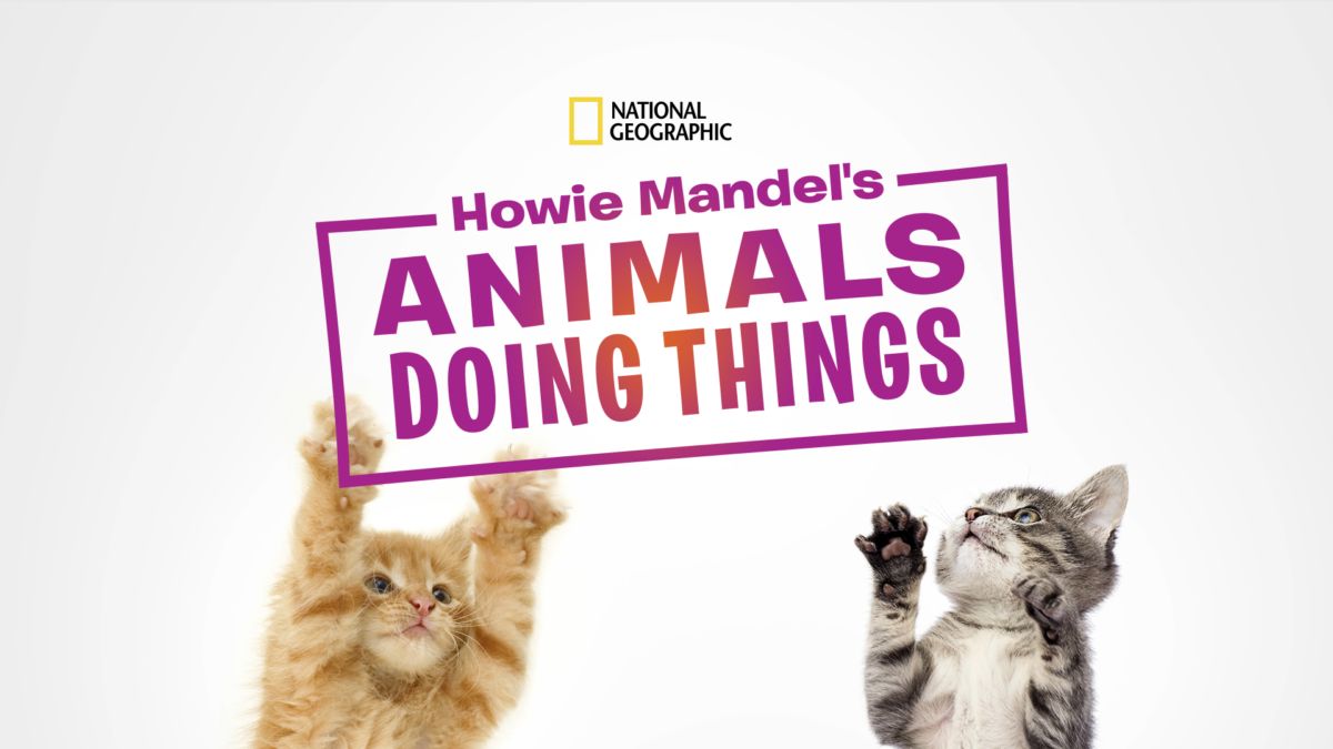 Howie Mandel's Animals Doing Things megtekintése | Disney+