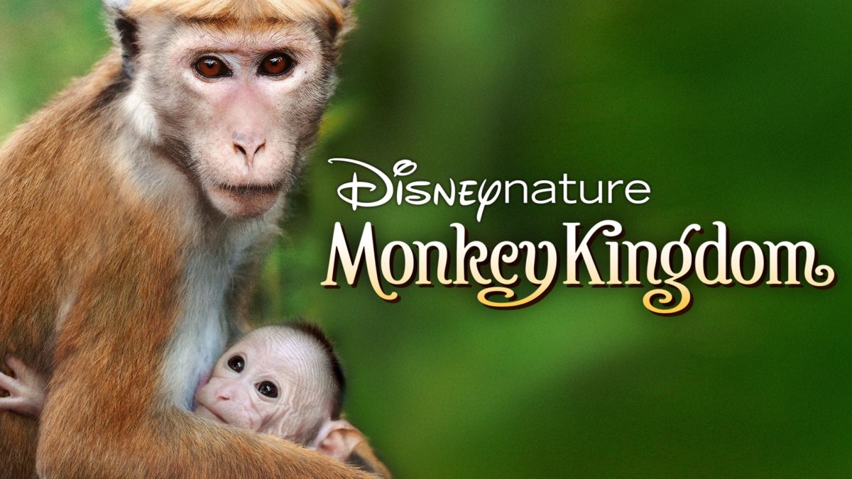 Watch Disneynature Monkey Kingdom | Full movie | Disney+