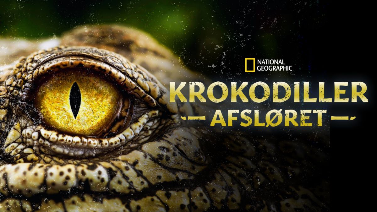 Krokodiller afsløret | Disney+