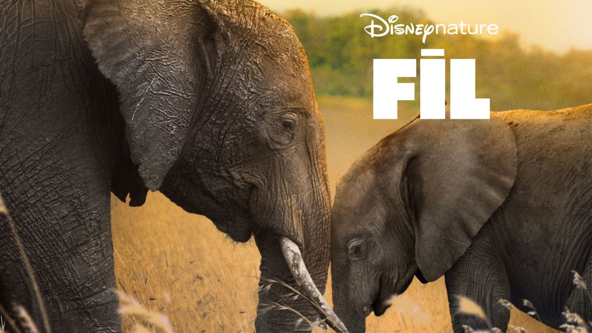 Fil | Disney+