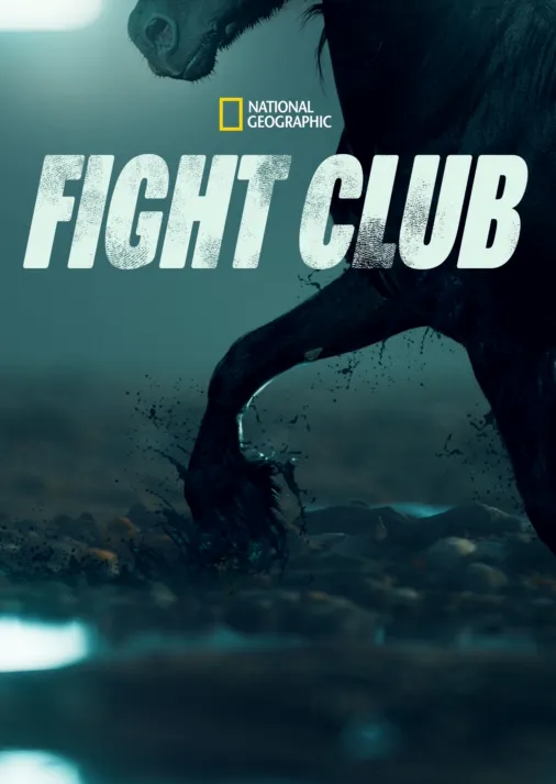 Vizionează Fight Club | Disney+