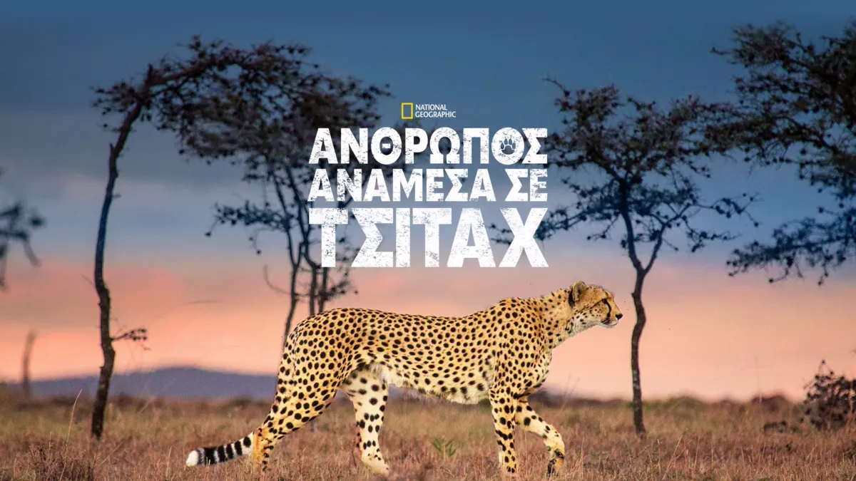 Δείτε το «Άνθρωπος ανάμεσα σε τσιτάχ» | Disney+