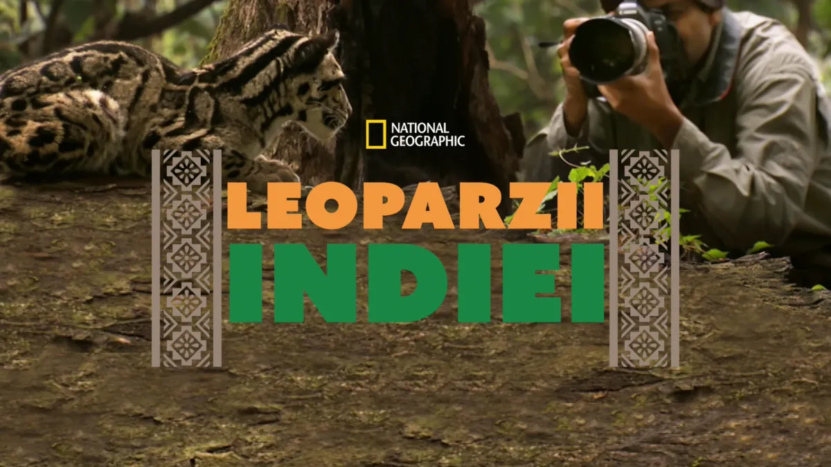 Vizionează India's Wild Leopards | Disney+