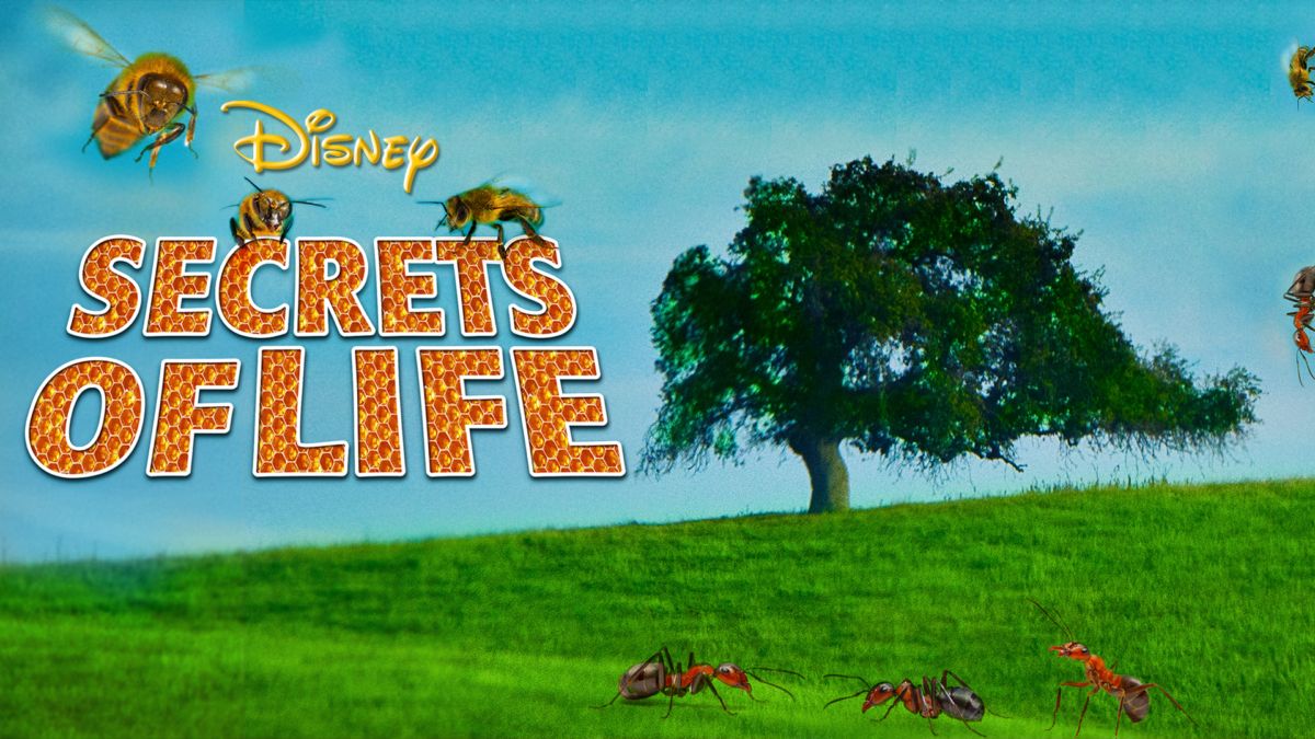 Secrets of Life | Disney+