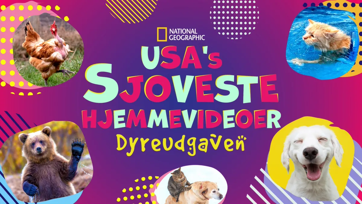 Se hele afsnit af America's Funniest Home Videos: Animal Edition | Disney+