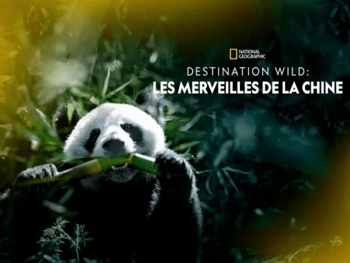 Regarder Destination Wild : Les merveilles de la Chine | Disney+