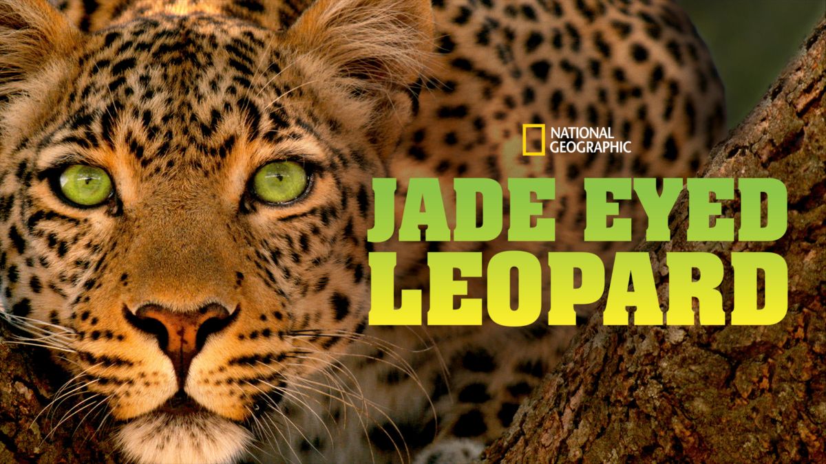 Jade Eyed Leopard | Disney+