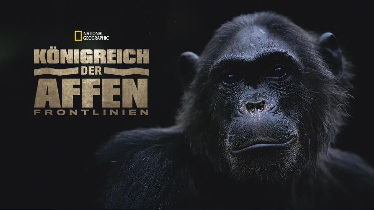 Königreich der Affen: Frontlinien ansehen | Disney+