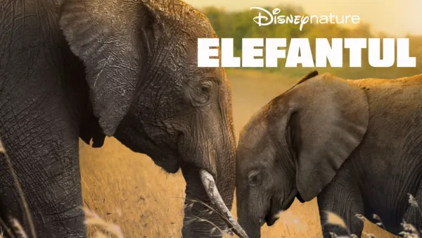 Vizionează Școala Vieții În Lumea Animalelor | Disney+