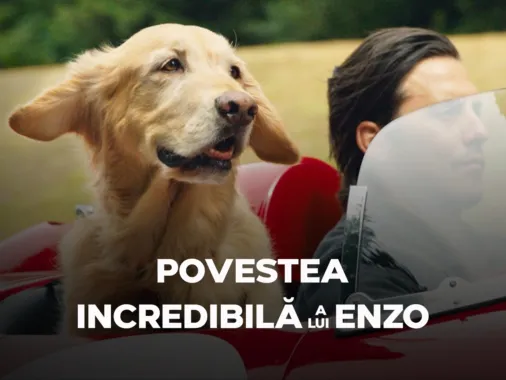 Vizionează Povestea incredibilă a lui Enzo | Disney+