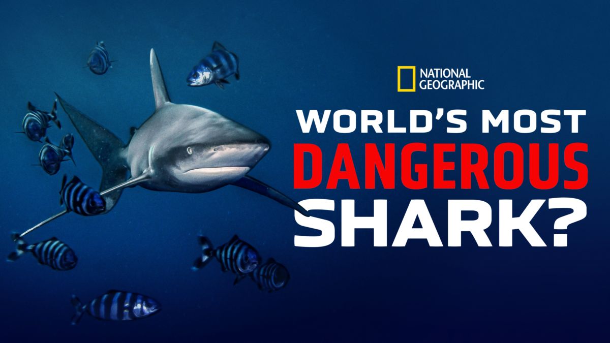 Kijk World's Deadliest Sharks | Volledige film | Disney+ Kijk World's Deadliest Sharks | Volledige film | Disney+