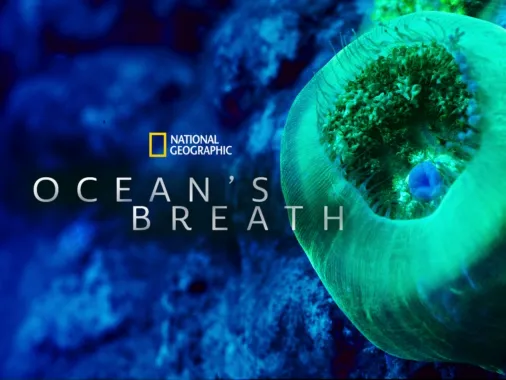 Oglądaj Ocean's Breath | Disney+