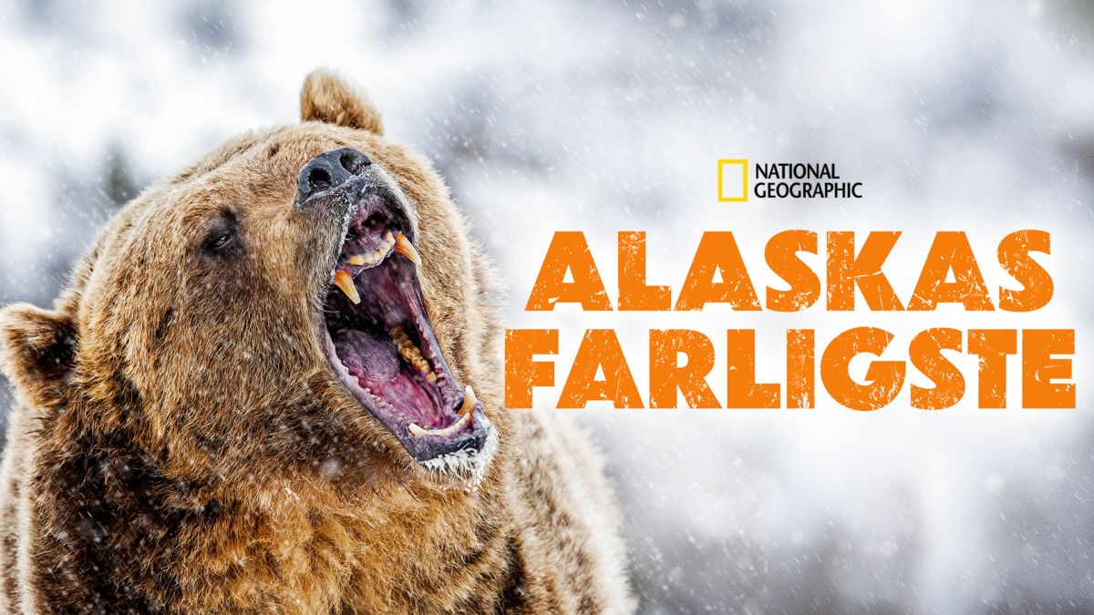 Se hele afsnit af Alaskas farligste | Disney+