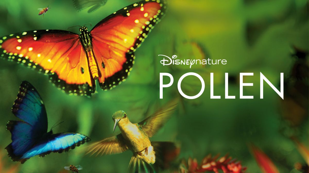 Regarder Pollen | Film complet | Disney+