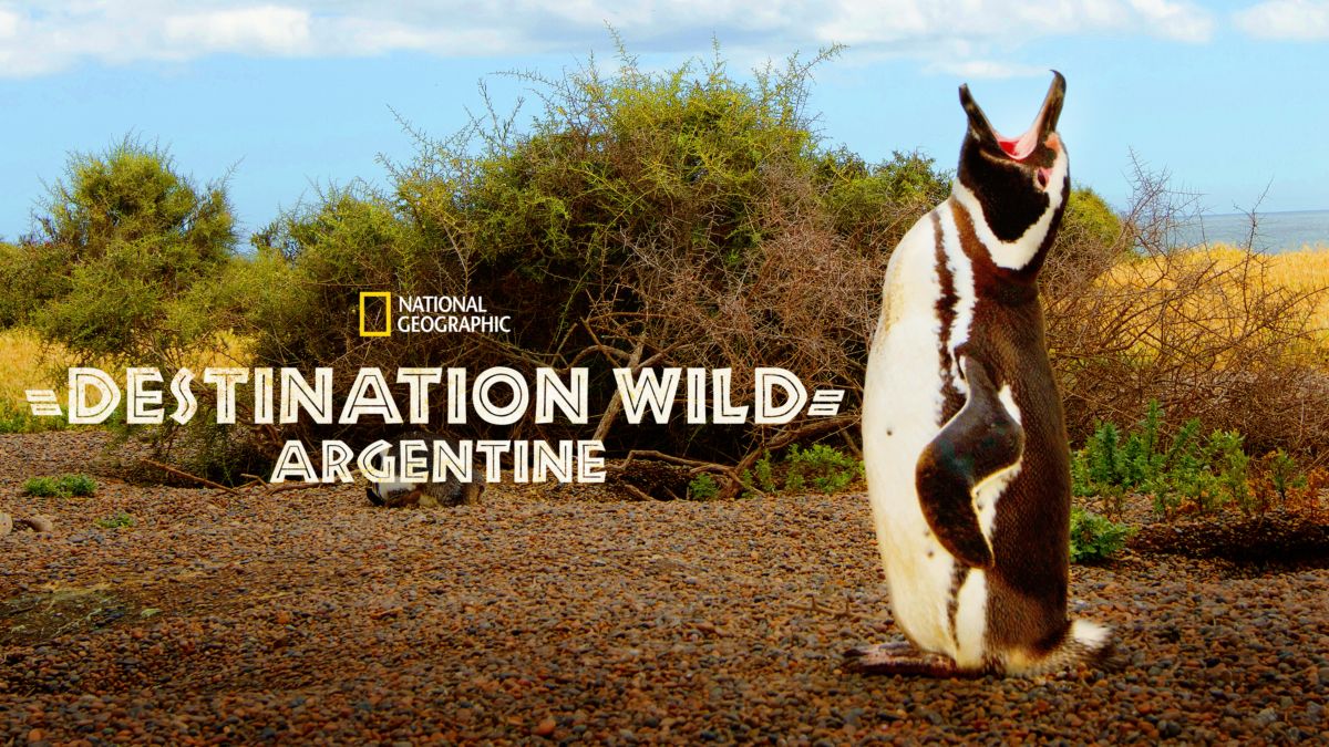 Regarder Destination Wild: Argentine | Épisodes complets | Disney+