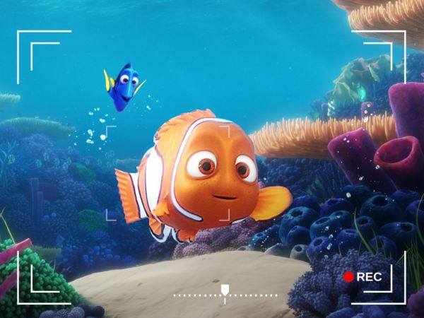 Is 'Dory's Reef Cam' on Disney+ US - Where to Watch the Movie - New On ...