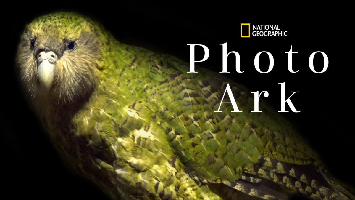 Δείτε το «Photo Ark» | Disney+