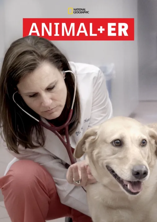 Watch Animal ER | Full episodes | Disney+