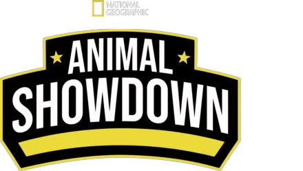 Watch Animal Showdown | Full episodes | Disney+